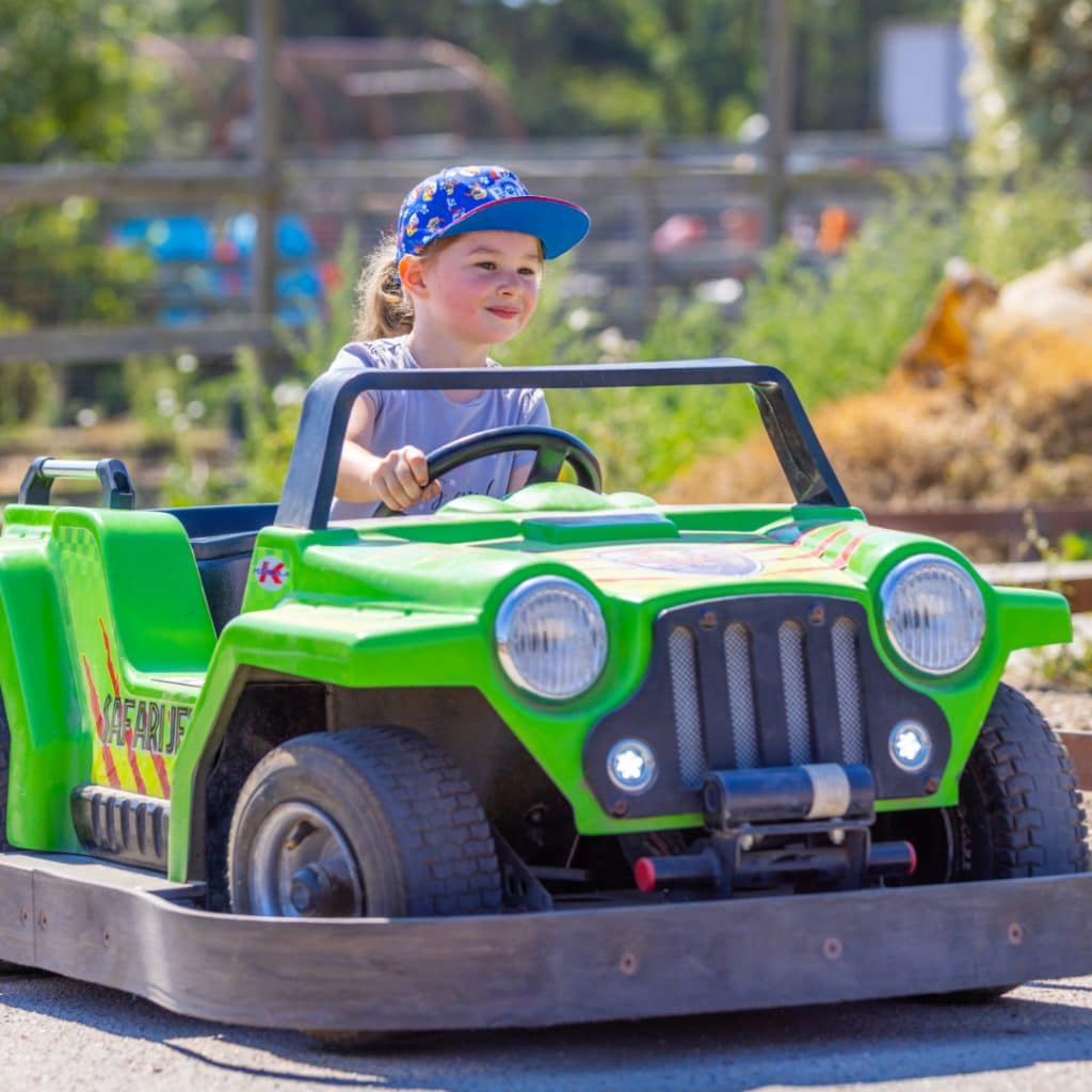 Outdoor Attractions - 4 Kingdoms Adventure Park & Family Farm