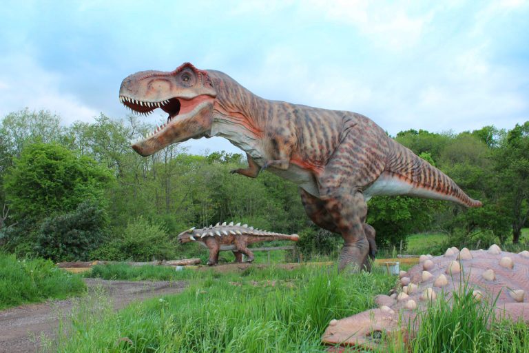 4 Kingdoms Adventure Park & Family Farm