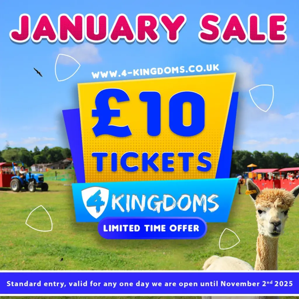 4 Kingdoms Adventure Park & Family Farm