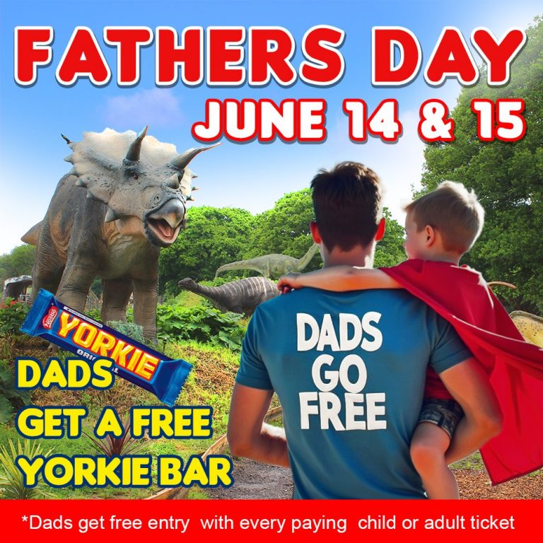 4 Kingdoms Adventure Park & Family Farm